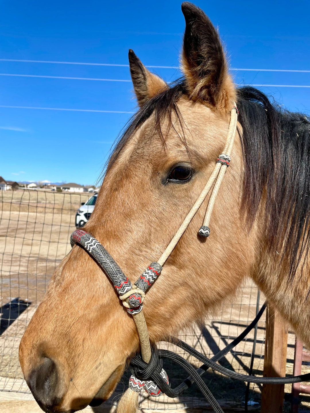 Handmade Bosal Set, 40 Plaits Rawhide Natural & Black Bosal Set, Bosal ...