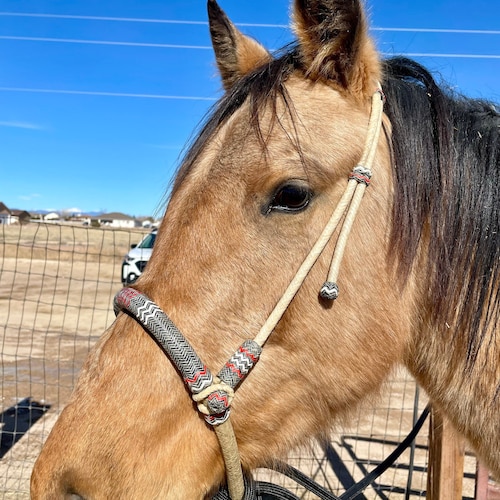 Handmade Bosal Set 40 Plaits Rawhide Natural & Cherry Bosal - Etsy