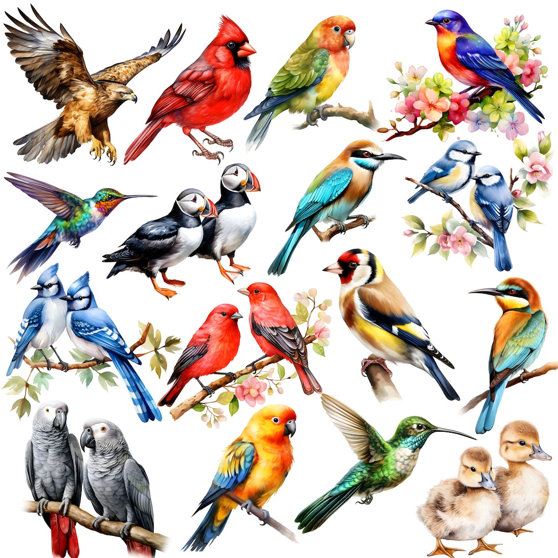 100 Watercolor Birds Clipart Bundle, Colorful Birds, Beautiful Birds of ...