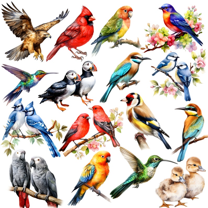 100+ Watercolor Birds Clipart Bundle, Colorful Birds, Beautiful Birds ...
