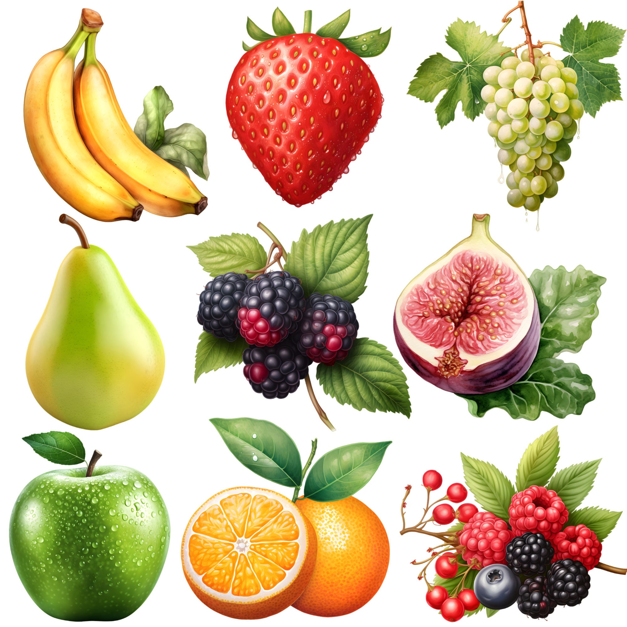 Watercolor Fruit Clipart, Gardening Clipart, Farmers Market Food ...