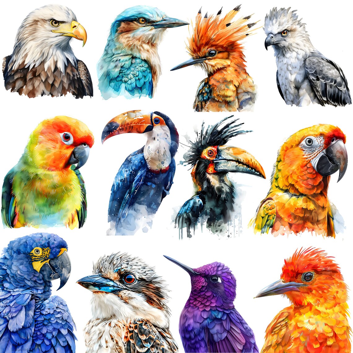 150 Watercolor Birds Clipart Bundle, Colorful Birds, Beautiful Birds of ...