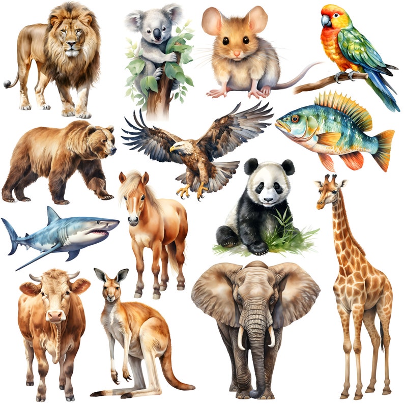 Watercolor Animals Clipart Bundle, Animal Png, Wild Animals, Farm ...