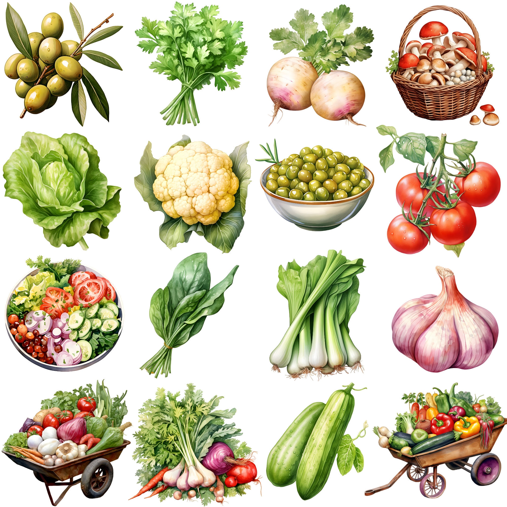 Watercolor Vegetables Clipart, Gardening Clipart Menu Food Clipart ...