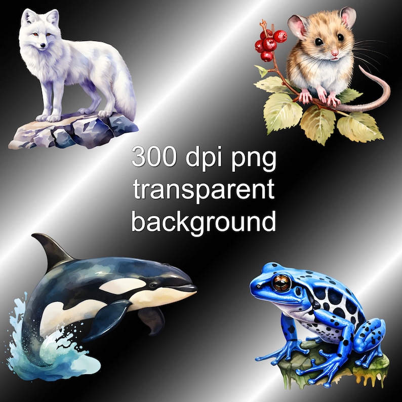 Wild Animals Clipart Bundle, 300 Dpi Transparent PNG Graphics, Instant ...