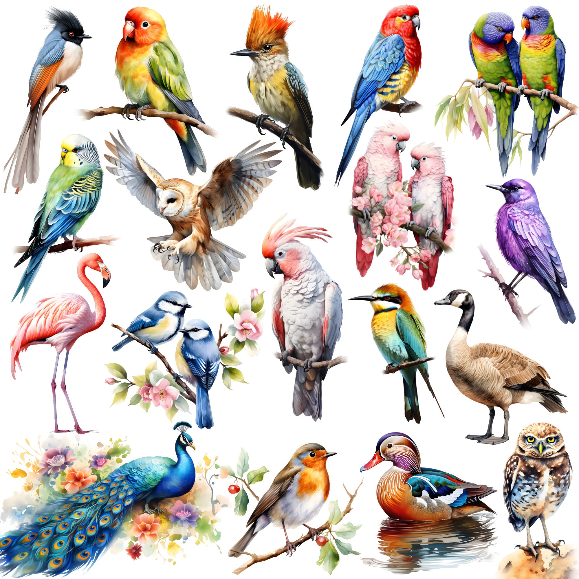 100 Watercolor Birds Clipart Bundle, Colorful Birds, Beautiful Birds of ...