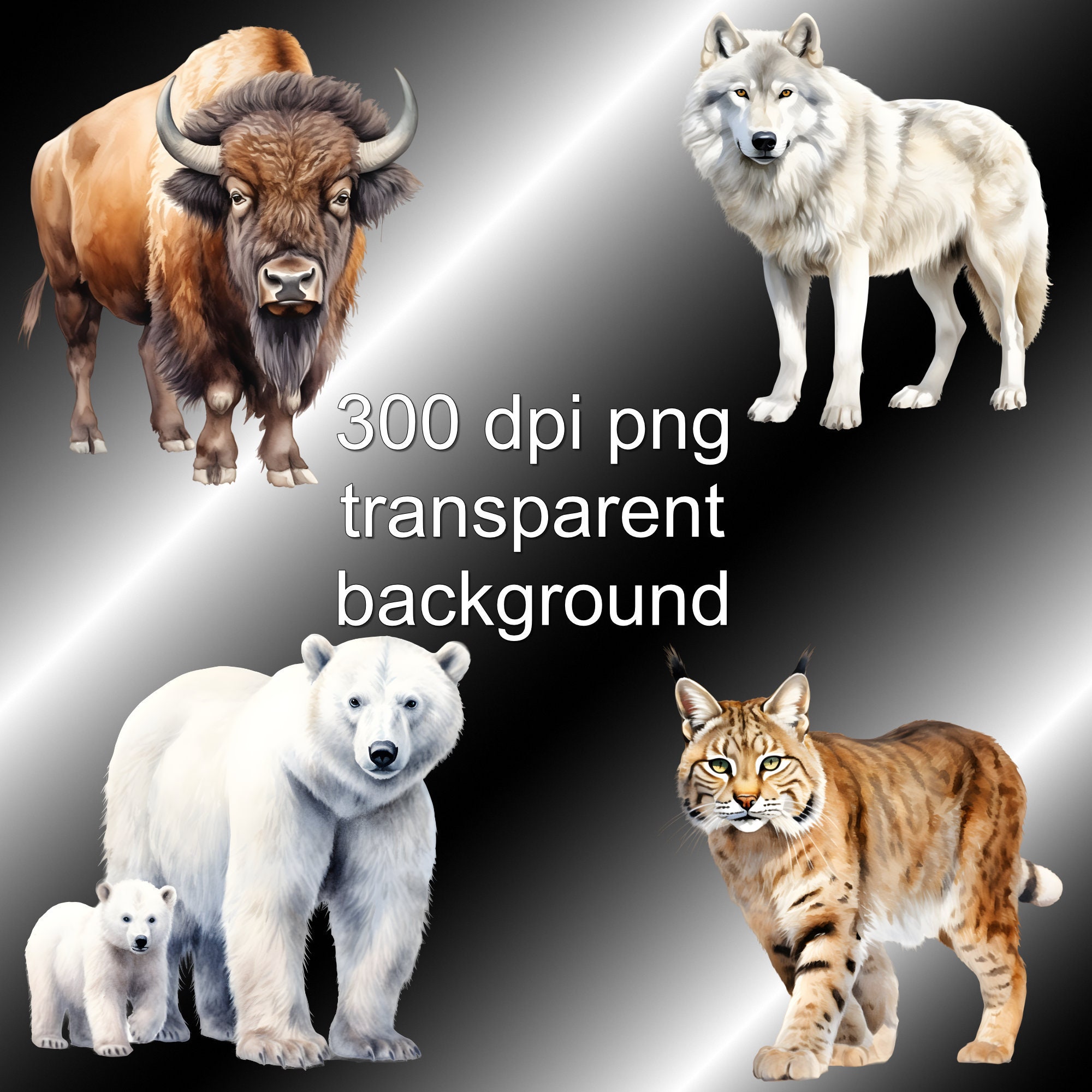 Watercolor Animals Clipart Bundle Images of Wild Animals of North ...