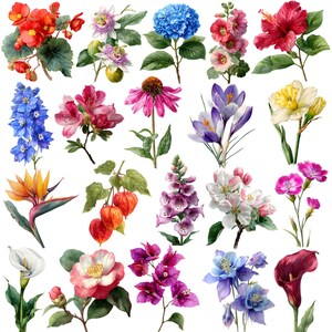 Watercolor Botanical Illustrations, Clipart Bundle, 160 Flower Png ...