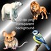 Watercolor Animals Clipart Bundle, Animal Png, Wild Animals, Farm ...