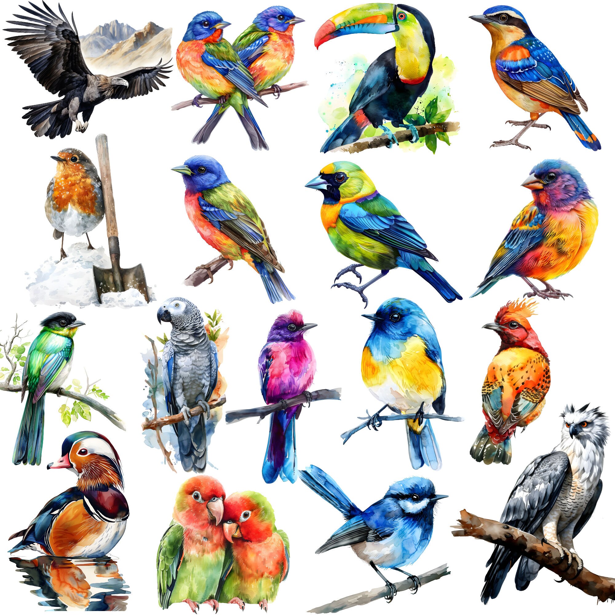 150 Watercolor Birds Clipart Bundle, Colorful Birds, Beautiful Birds of ...