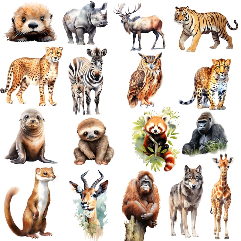 Watercolor Animals Clipart Bundle, 150 Images of Wild Animal of the ...