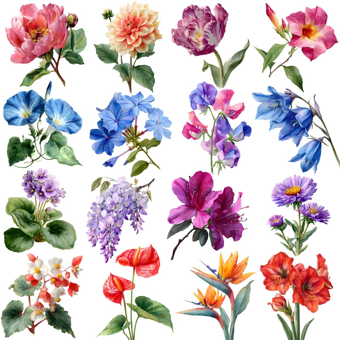 Watercolor Botanical Illustrations, Clipart Bundle, 160 Flower Png ...