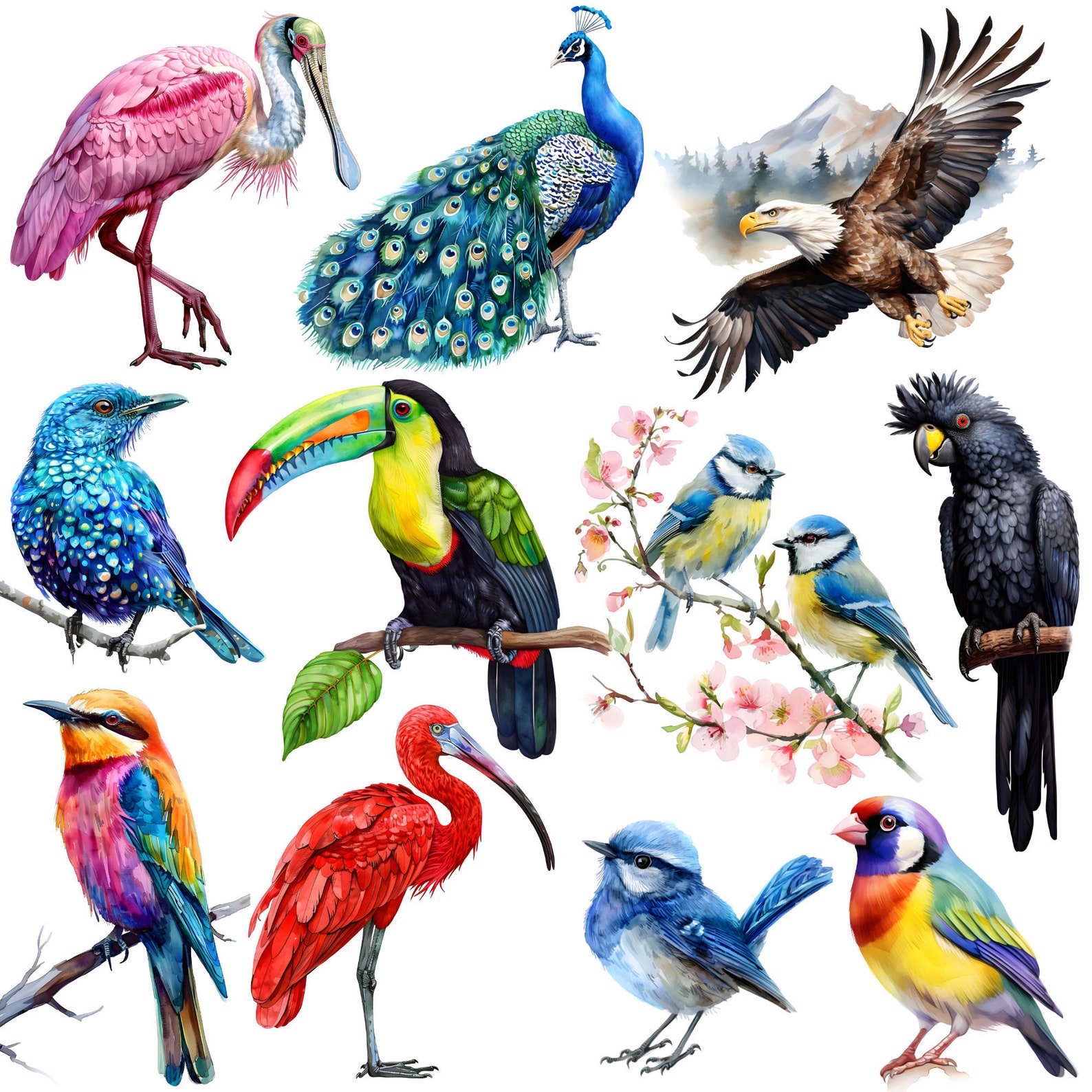 150 Watercolor Birds Clipart Bundle, Colorful Birds, Beautiful Birds of ...