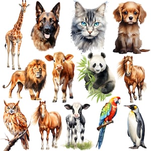 Watercolor Animals Clipart Bundle, Animal Png, Wild Animals, Farm ...