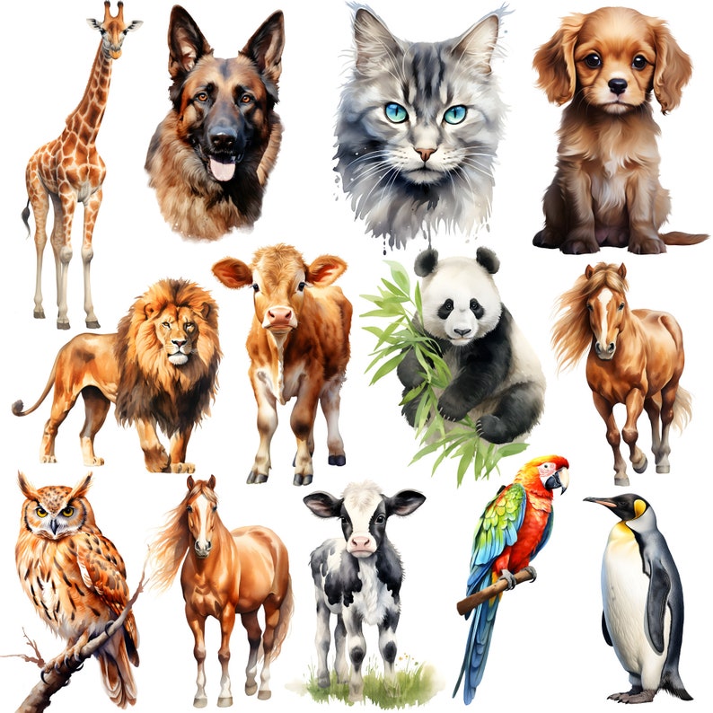 Watercolor Animals Clipart Bundle, Animal Png, Wild Animals, Farm ...