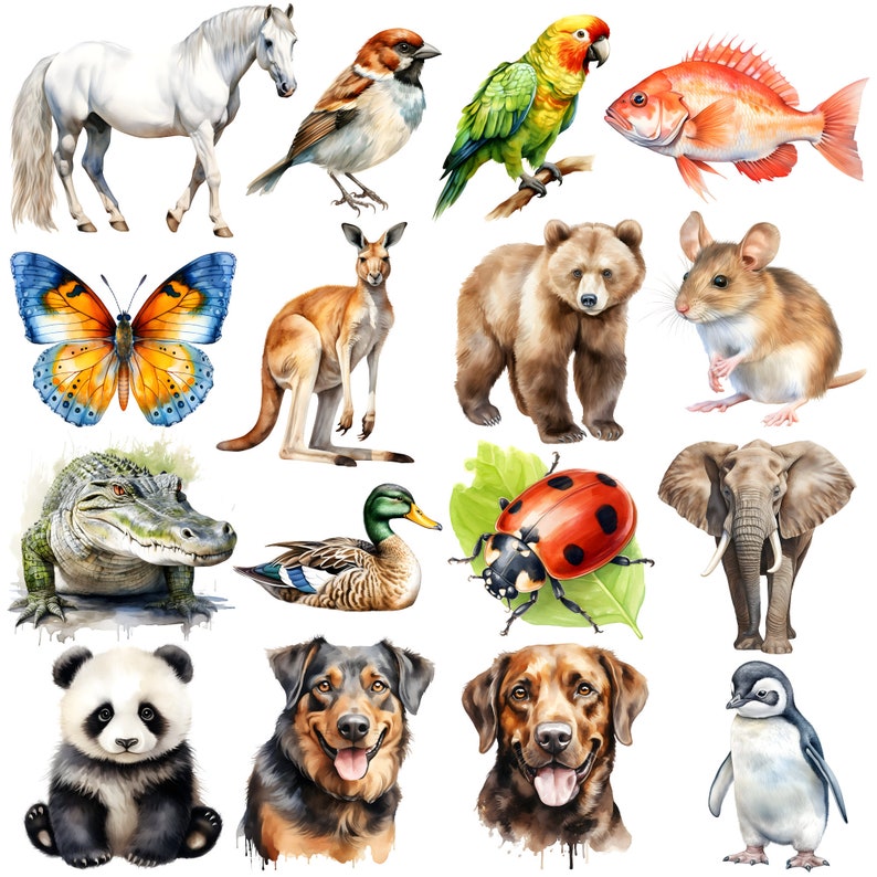 Watercolor Animals Clipart Bundle, Animal Png, Wild Animals, Farm ...