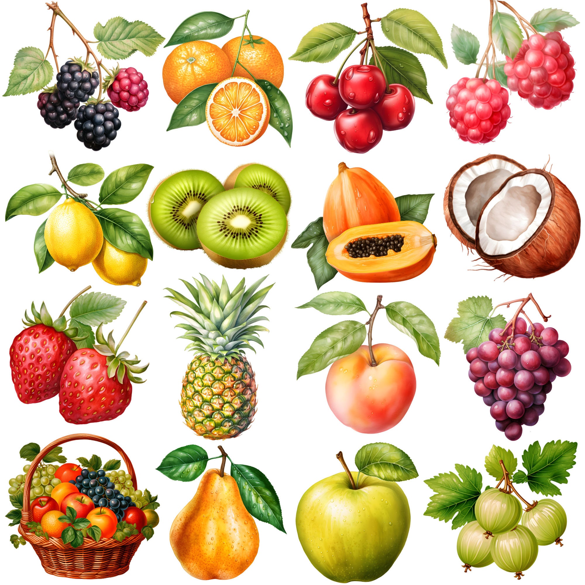 Watercolor Fruit Clipart, Gardening Clipart, Farmers Market Food ...