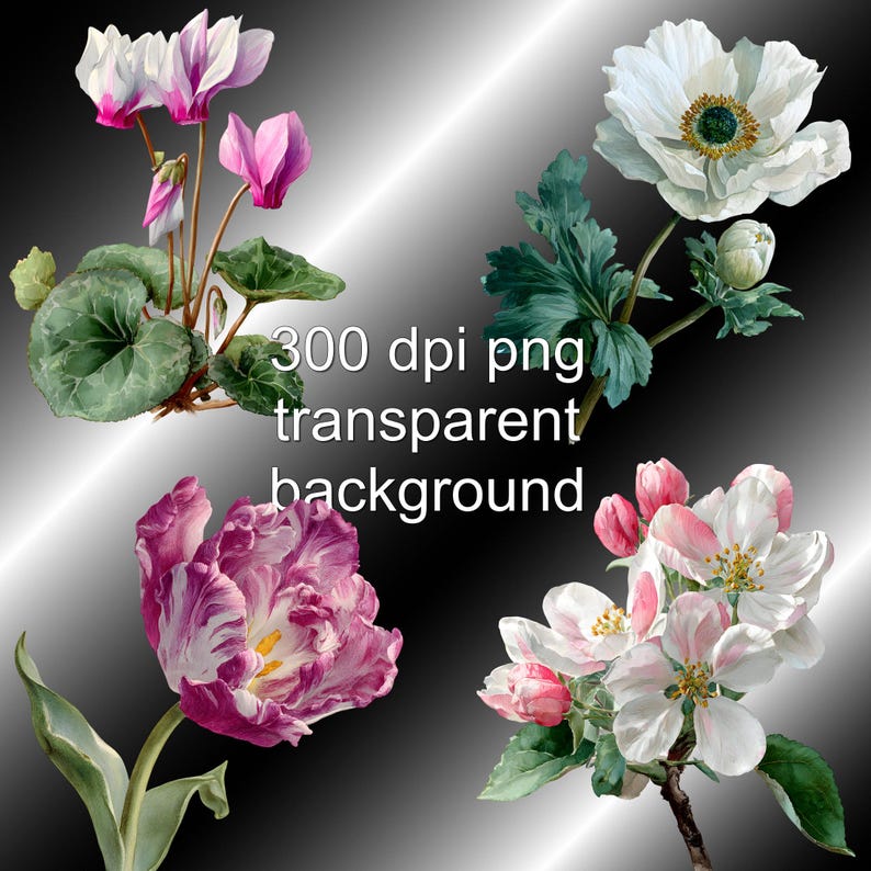 Watercolor Botanical Illustrations, Clipart Bundle, 160 Flower Png ...