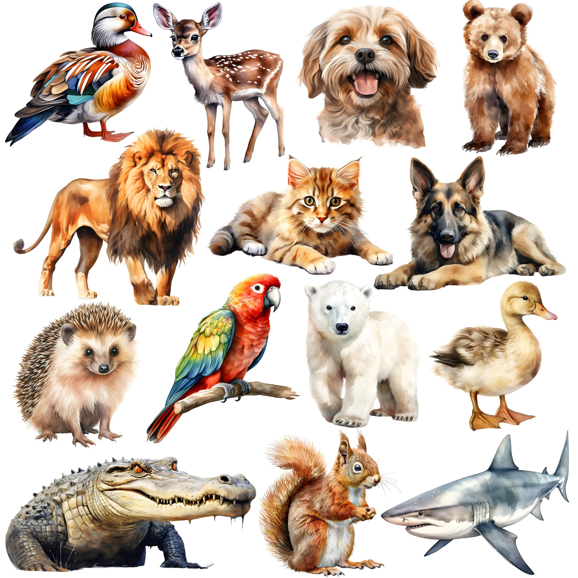 Watercolor Animals Clipart Bundle, Animal Png, Wild Animals, Farm ...