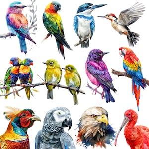 150 Watercolor Birds Clipart Bundle, Colorful Birds, Beautiful Birds of ...