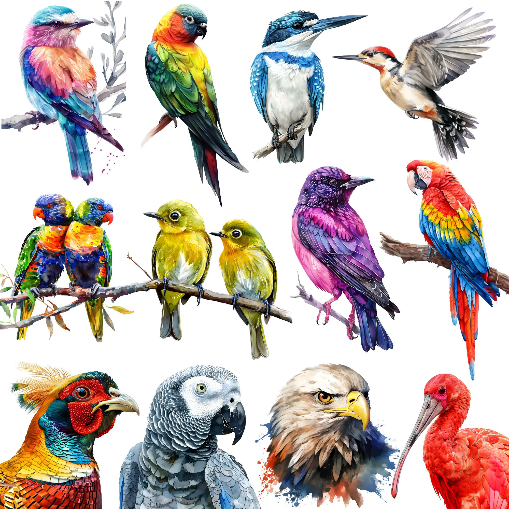 150 Watercolor Birds Clipart Bundle, Colorful Birds, Beautiful Birds of ...
