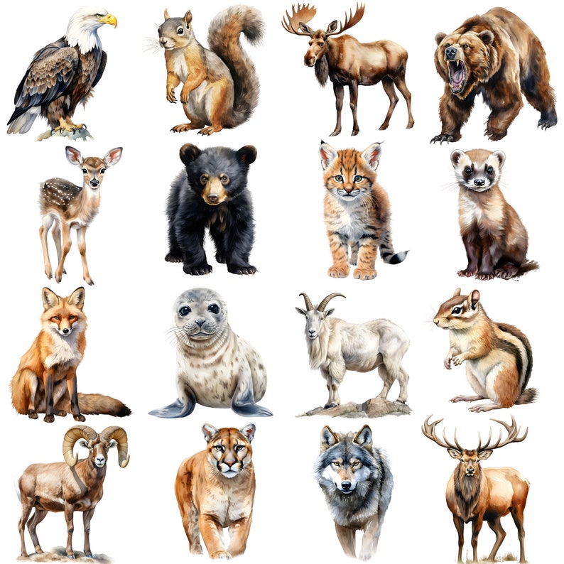 Watercolor North American Animals Clipart, Transparent PNG (digital ...