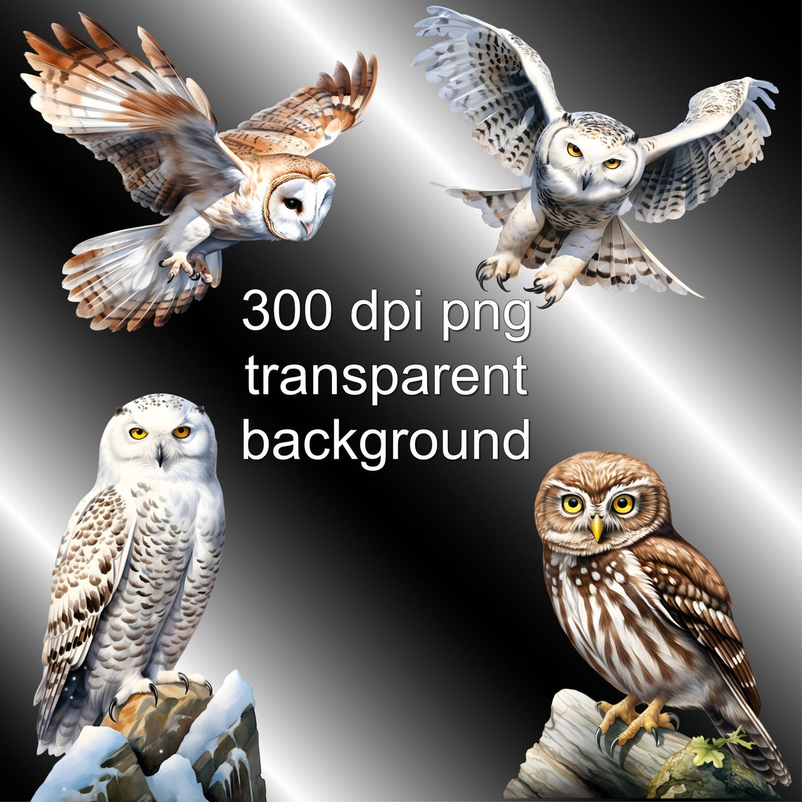 Watercolor Owls Clipart Bundle, 50 Bird PNG Images (commercial Use) - Etsy