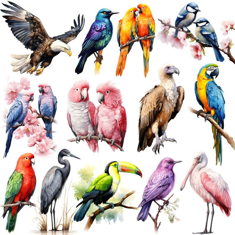 100 Watercolor Birds Clipart Bundle, Colorful Birds, Beautiful Birds of ...