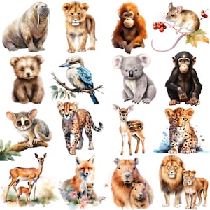 Watercolor Animals Clipart Bundle, 150 Images of Wild Animal of the ...