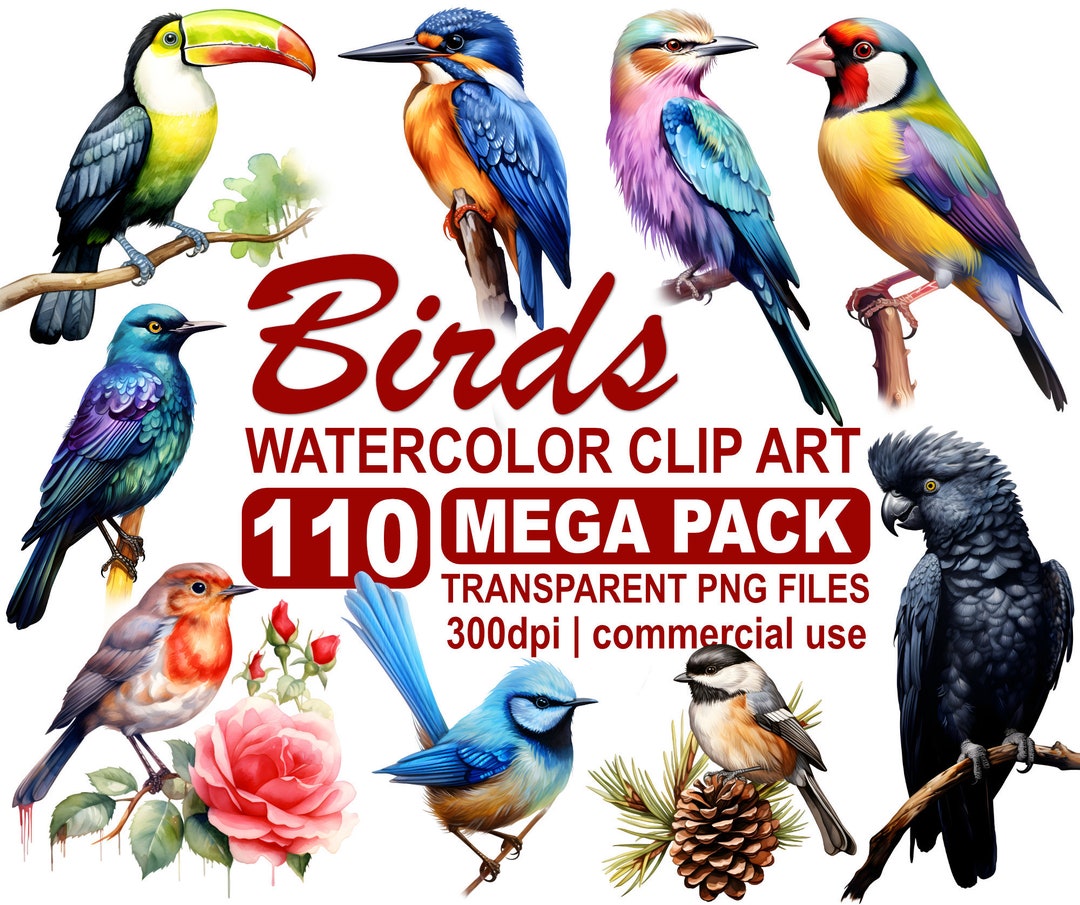 100+ Watercolor Birds Clipart Bundle, Colorful Birds, Beautiful Birds ...