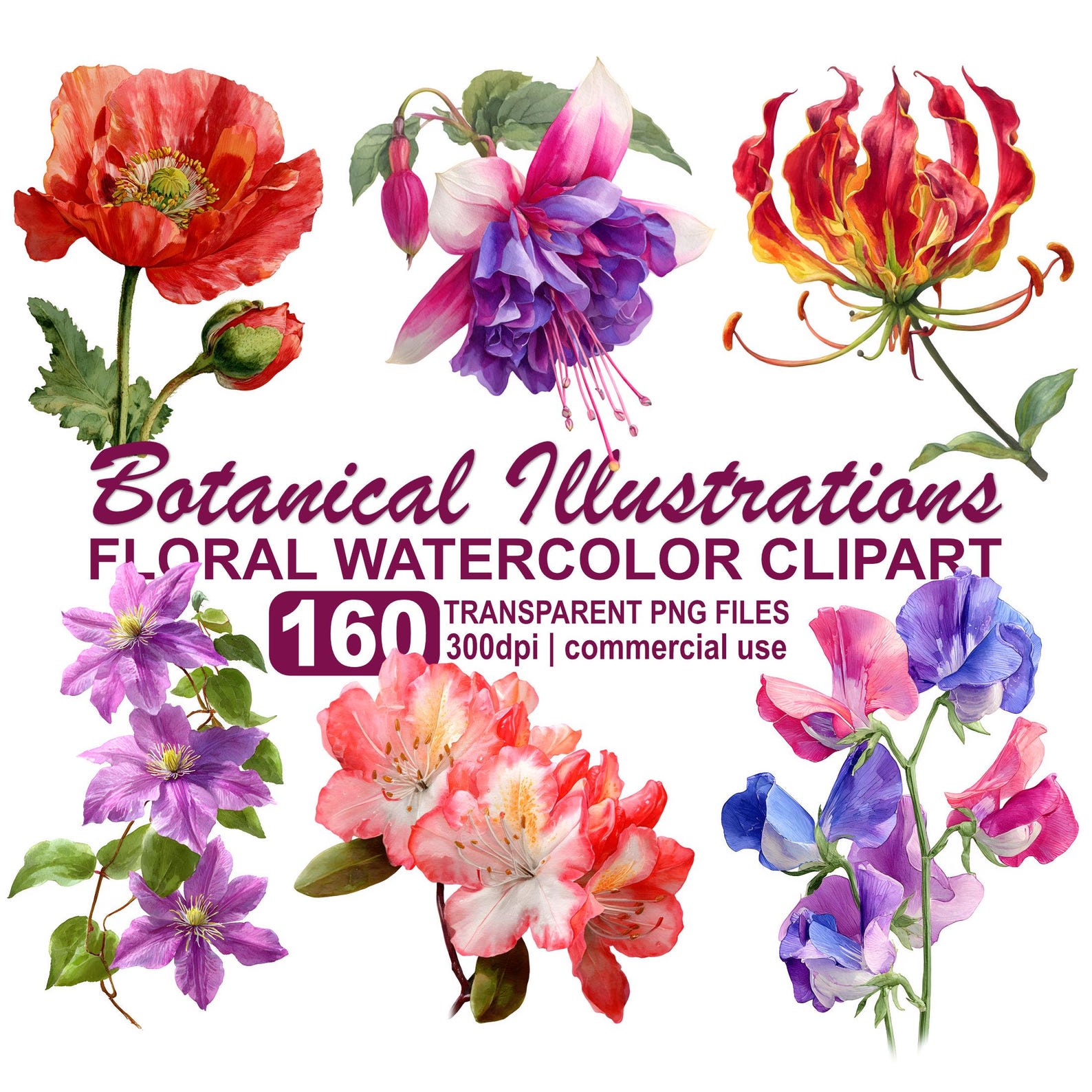 Watercolor Botanical Illustrations, Clipart Bundle, 160 Flower Png ...