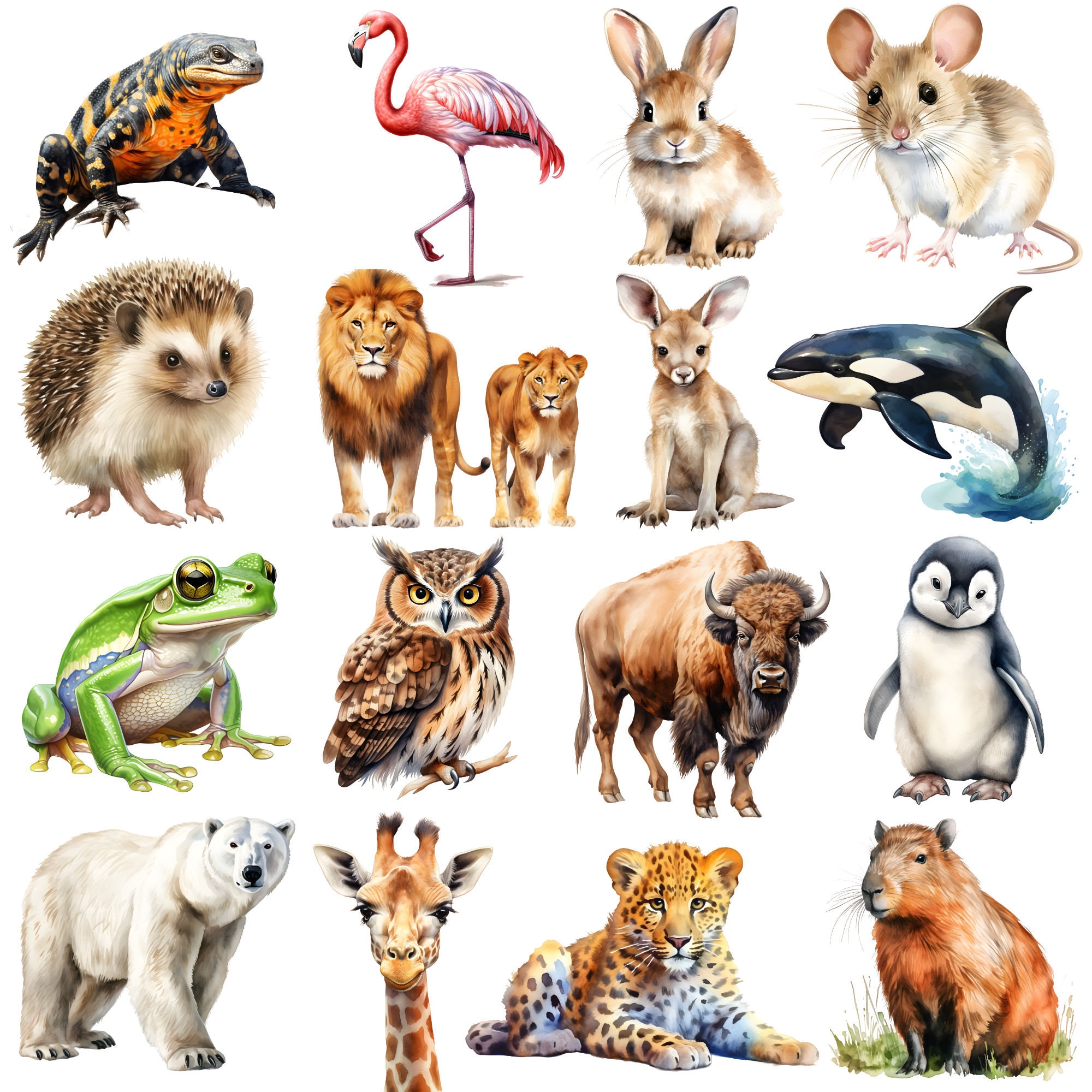Watercolor Animals Clipart Bundle, 150 Images of Wild Animal of the ...