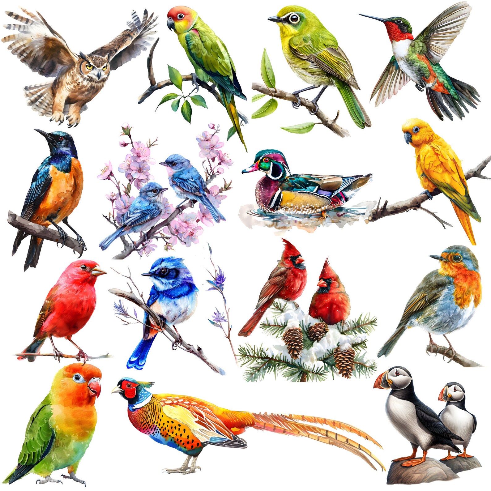 150 Watercolor Birds Clipart Bundle, Colorful Birds, Beautiful Birds of ...