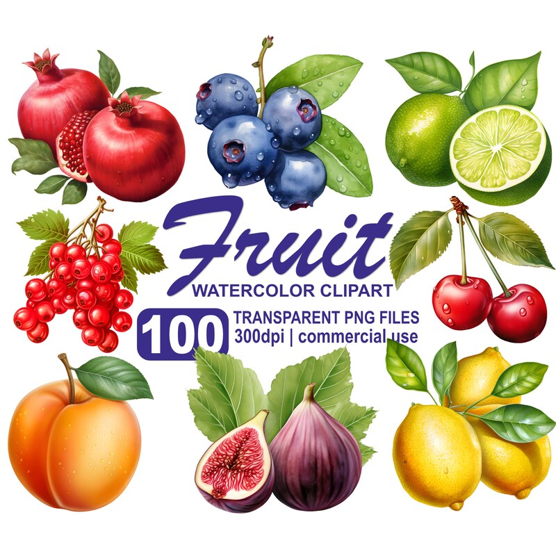 Fruit Clipart - Etsy