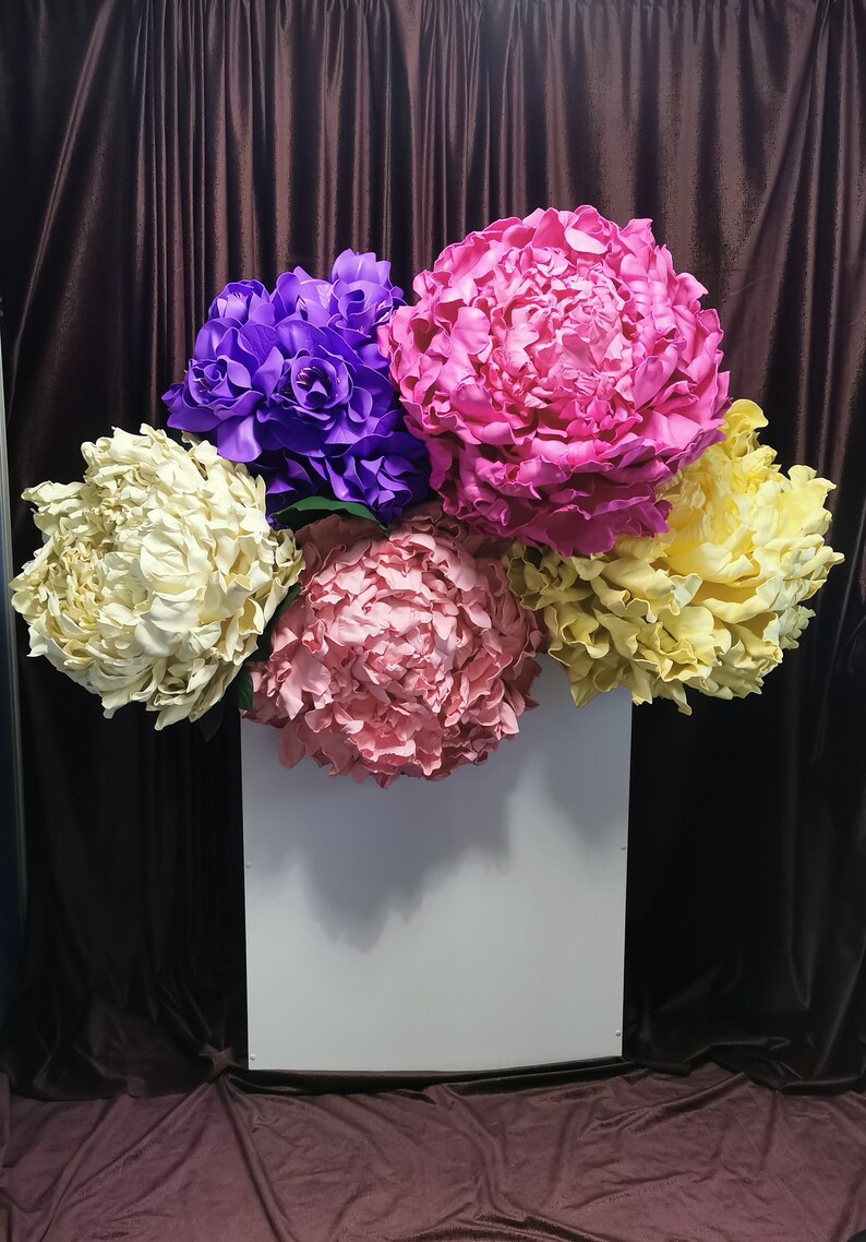 Extra Large Flowers of Different Types, Colors, Sizes. Wedding. Floral ...