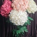 Extra Large Flowers of Different Types, Colors, Sizes. Wedding. Floral ...