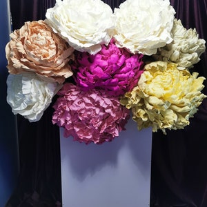 Extra Large Flowers of Different Types, Colors, Sizes. Wedding. Floral ...