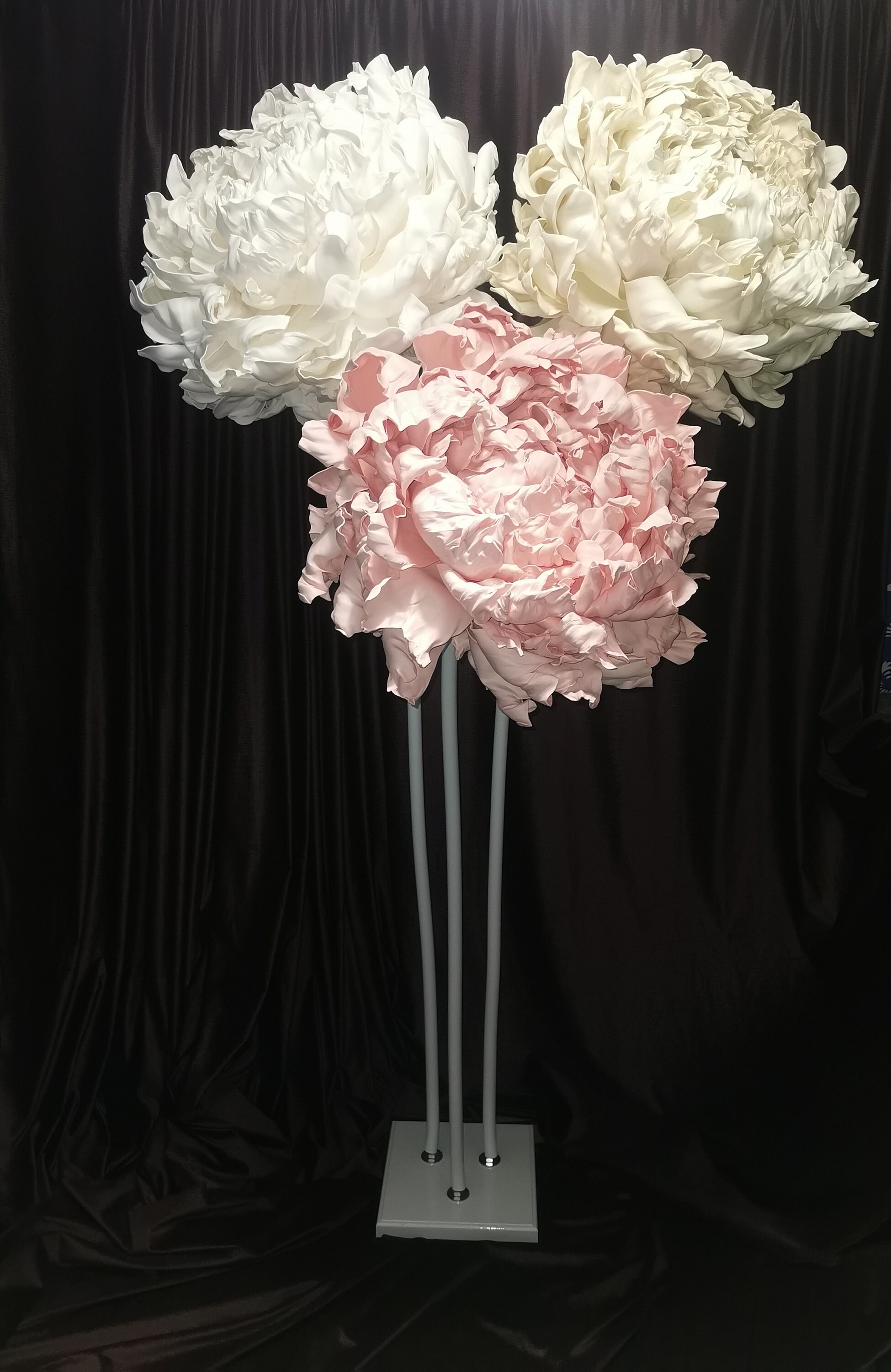 Extra Large Flowers of Different Types, Colors, Sizes. Wedding. Floral ...