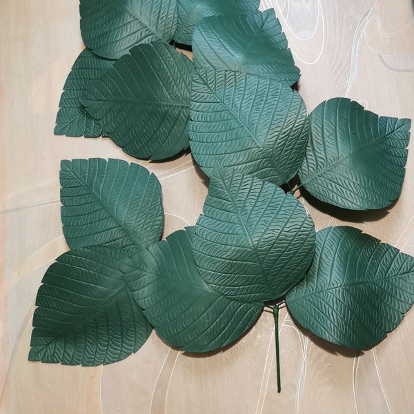 Exotic Leaf - Etsy