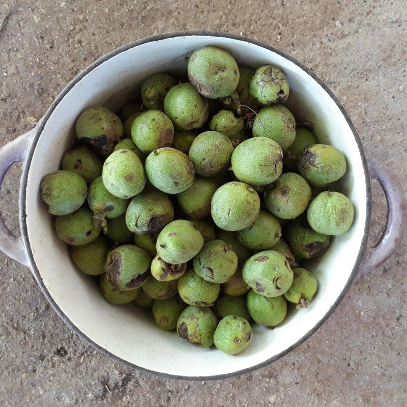 Black Walnut and Hole - Etsy