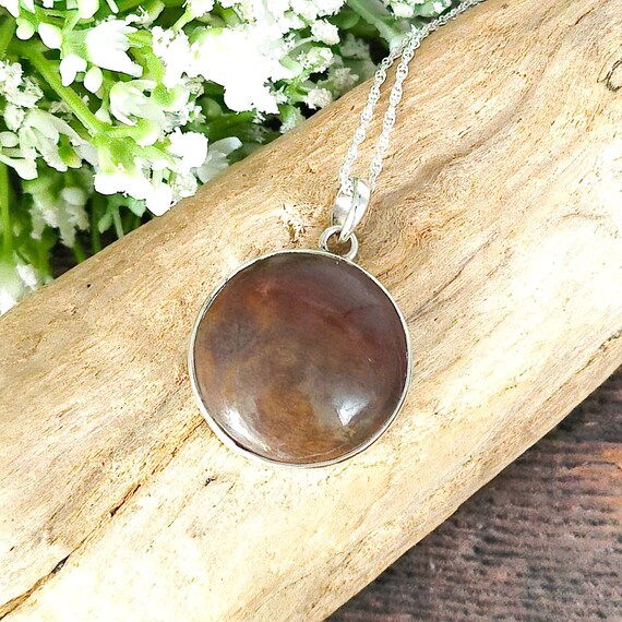 Dinosaur Pendant Brontosaurus Fossil Necklace 25mm Circle Sterling Silver Etsy