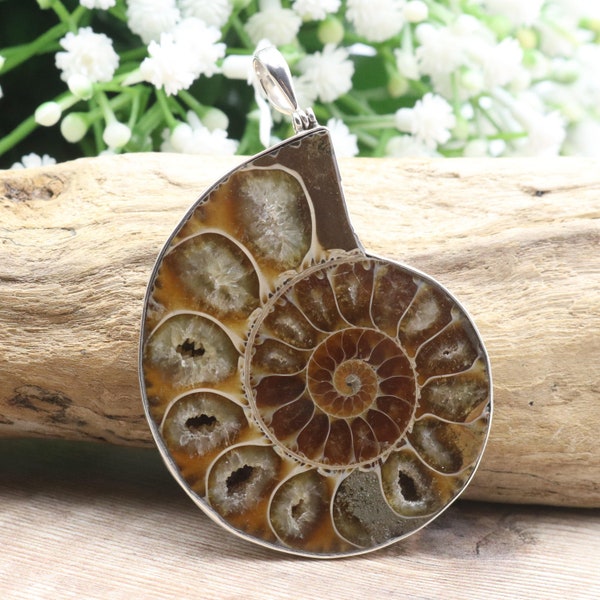 Ammonite Pendant - Etsy