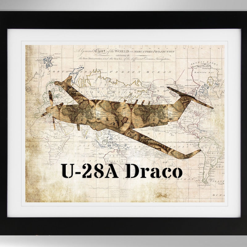 Draco - Etsy