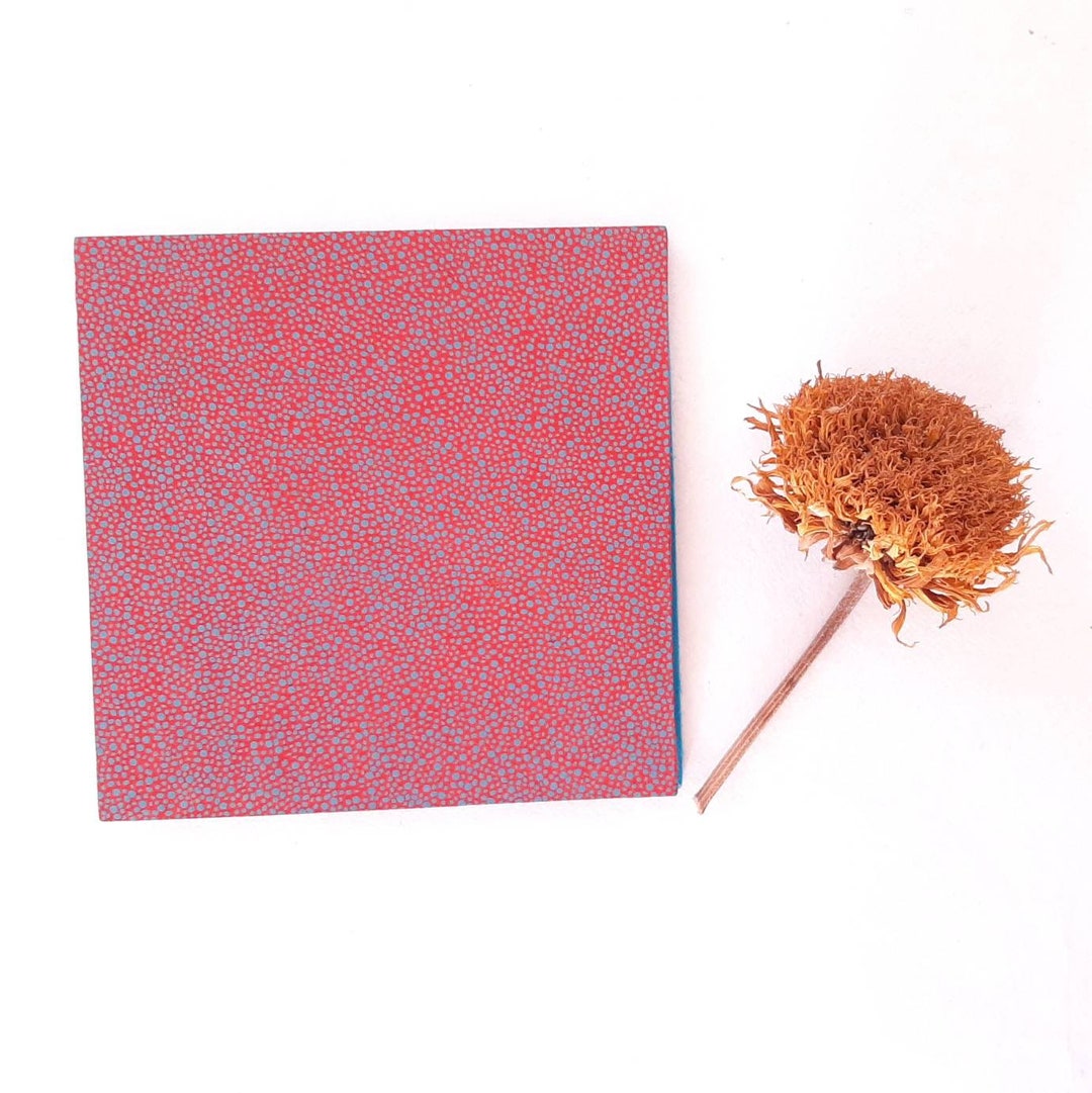 Handmade Accordion Photo Album With Red and Light Blue Polka Dots, Mini ...