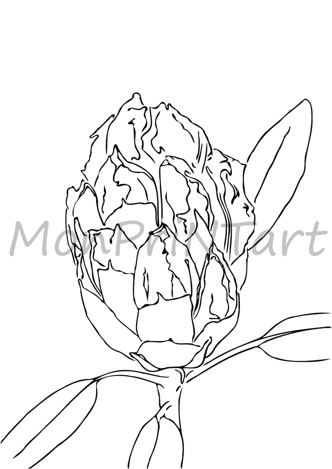 Rhododendron Art/Botanical Line Art/Black and White Wall Decor/Hand ...