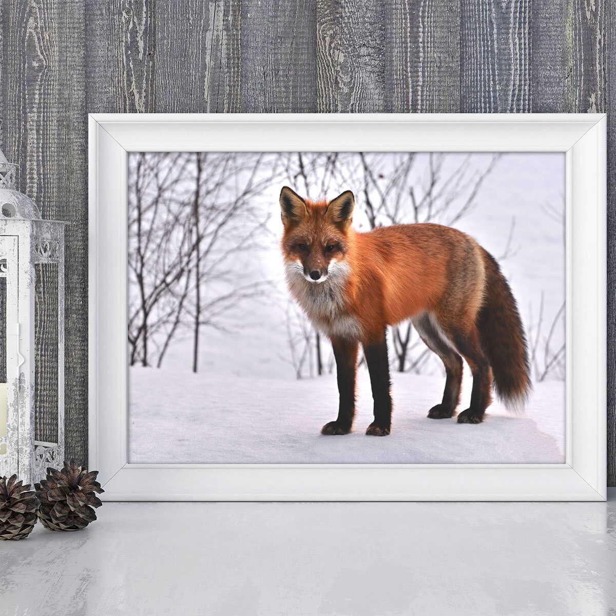 Red Fox, Red Fox Photography, Nature Photo, Red Fox Print, Digital ...