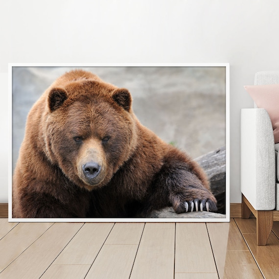 Grizzly Bear Grizzly Bear Print Grizzly Bear Photo Bear | Etsy