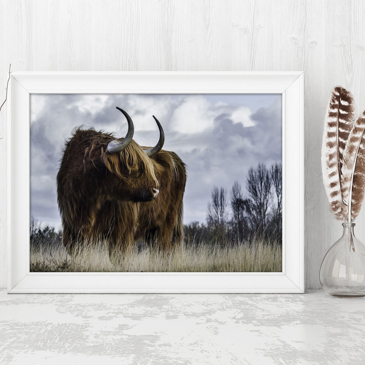 Highland Cow Print Digital Download Cow Photography | Etsy