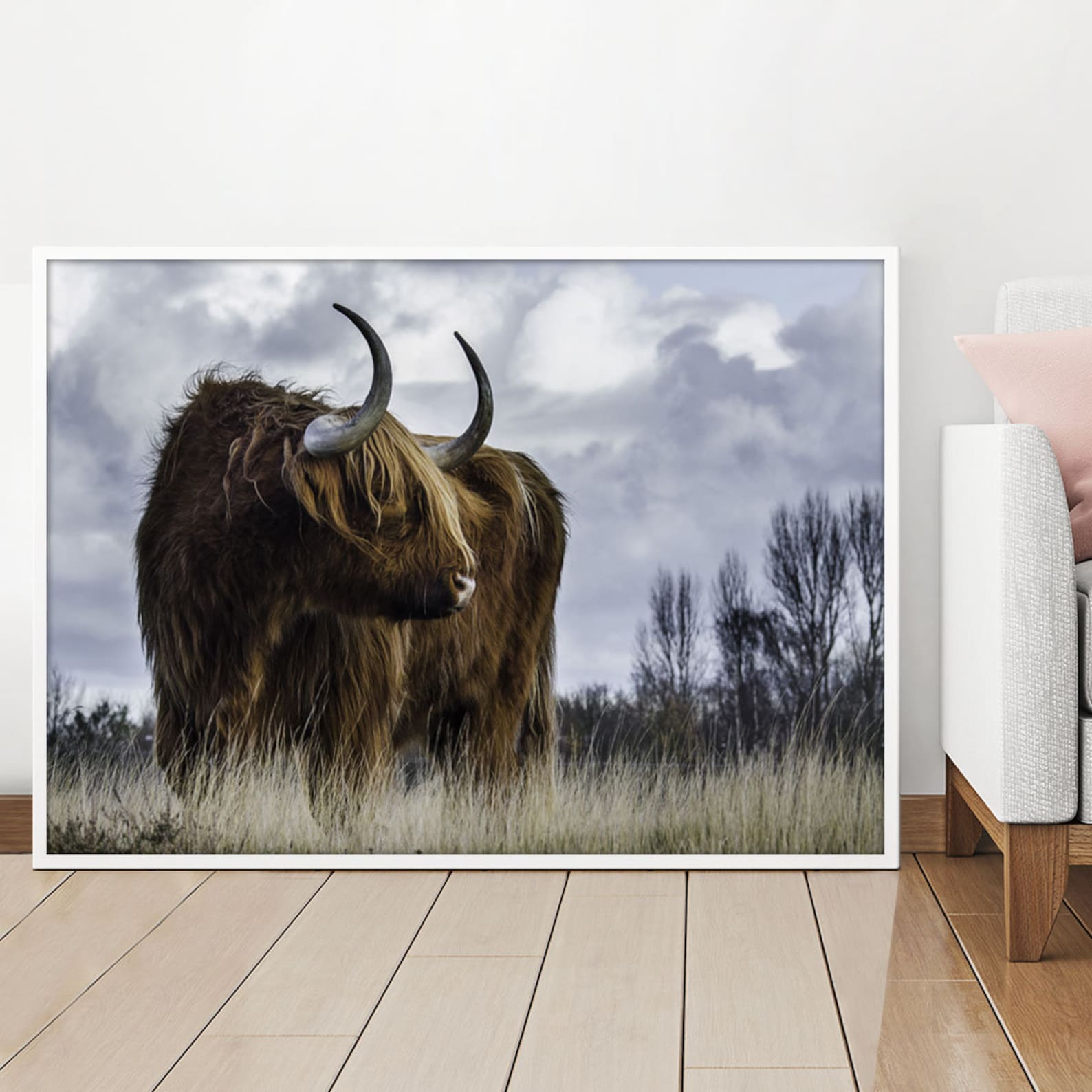 Highland Cow Print, Digital Download, Cow Photography, Printable ...