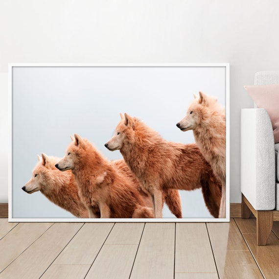 Wolf Arctic Wolves Wolf Pack White Wolf Wolves Photo | Etsy